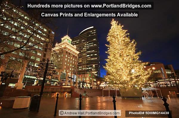 Pioneer Courthouse Square, Christmas Tree, Portland, Oregon Photo ...