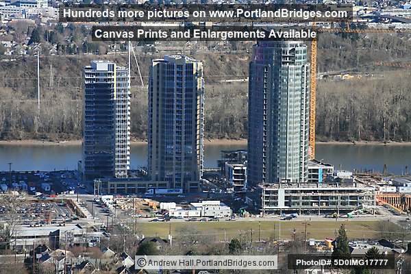 South Waterfront Buildings (Portland, Oregon) Photo 5D0IMG17777